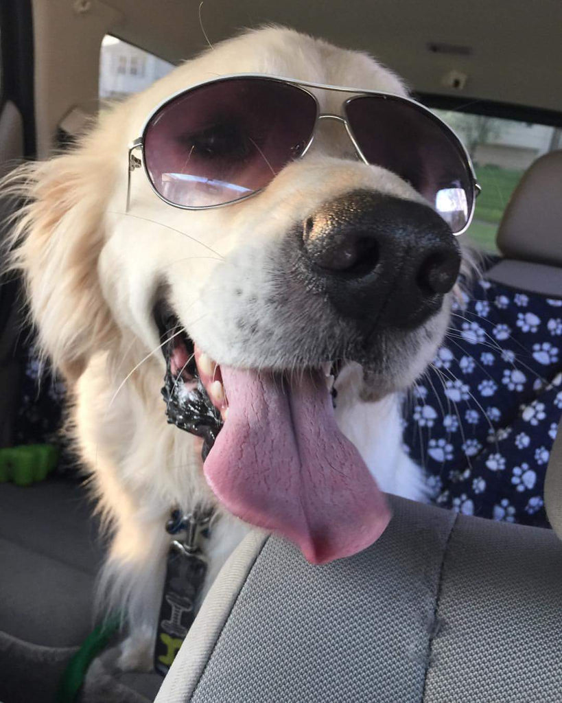 Comet – Project Blue Collar